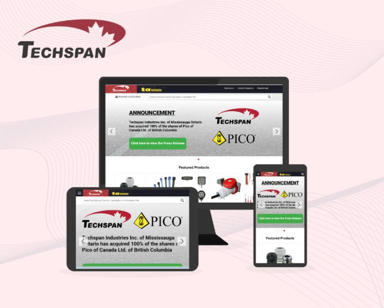 TechSpan - eCommerce Design & Development Agency for Manufacturers ...