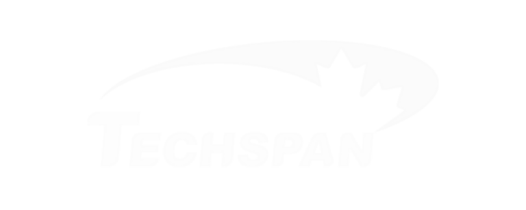 Optimizing ECommerce With TechSpan: Integration & Customer Management ...